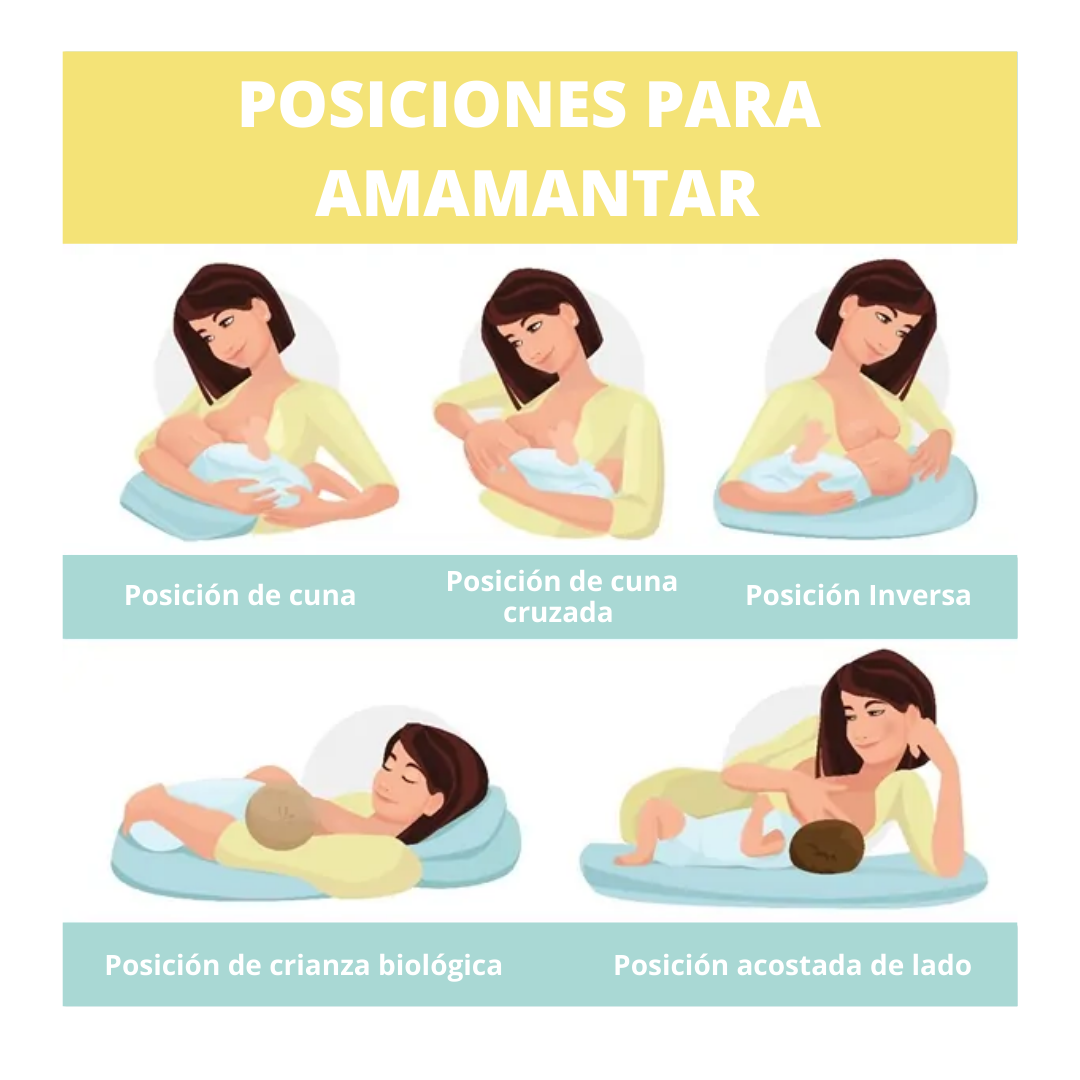 Iniciar La Lactancia Materna Ubicación Posición Y Agarre Asociación